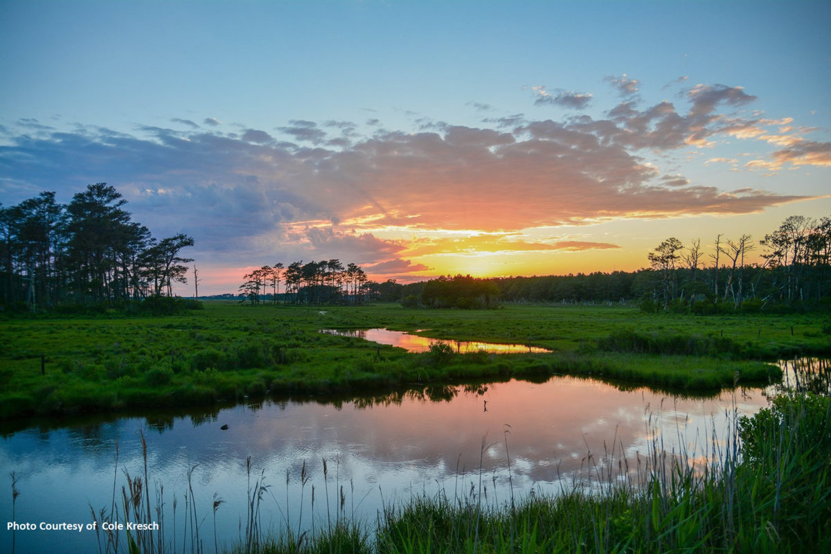 Assateague Island - Explore Our Seaside
