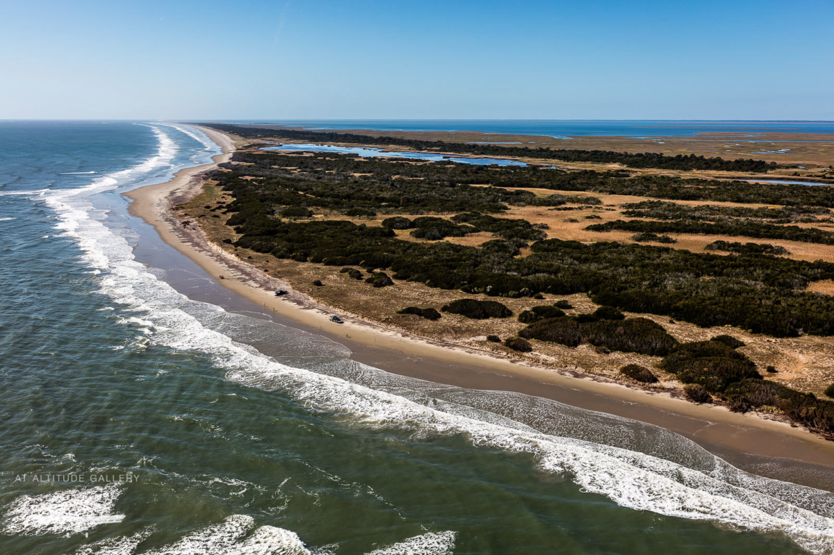 Hog Island - Explore Our Seaside